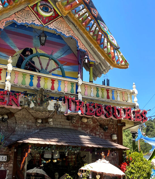 vintage timeless store california ftr