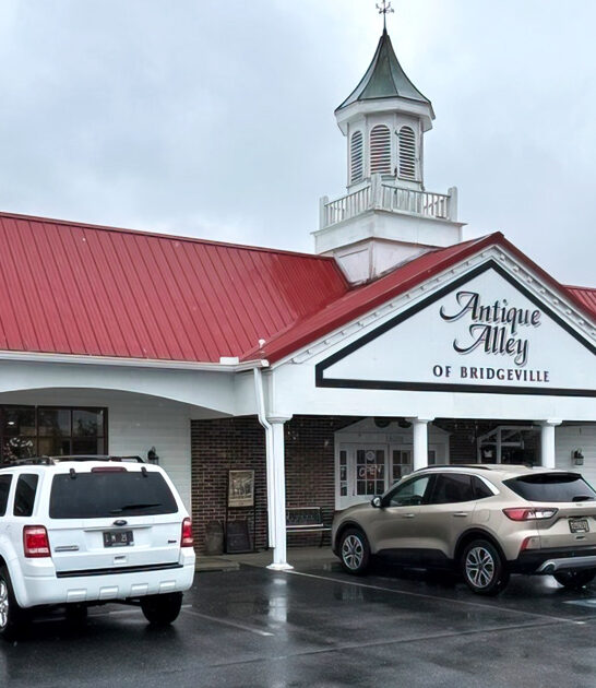 vintage treasures delaware haven ftr