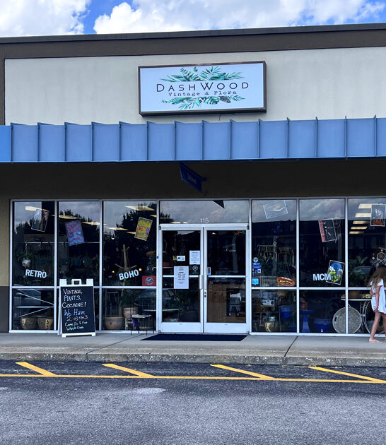 vintage wonderland tennessee store ftr