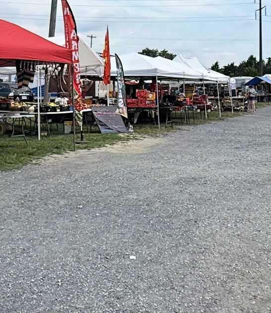 virginia bargain flea markets ftr