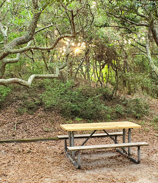 virginia hidden acreage park ftr