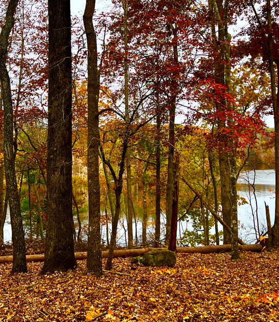 virginia hidden forest escape ftr