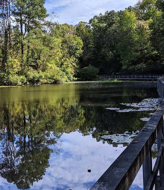 virginia picturesque park adventure ftr