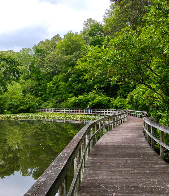 virginia picturesque park state ftr