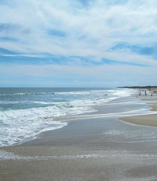 virginia postcard worthy beach ftr