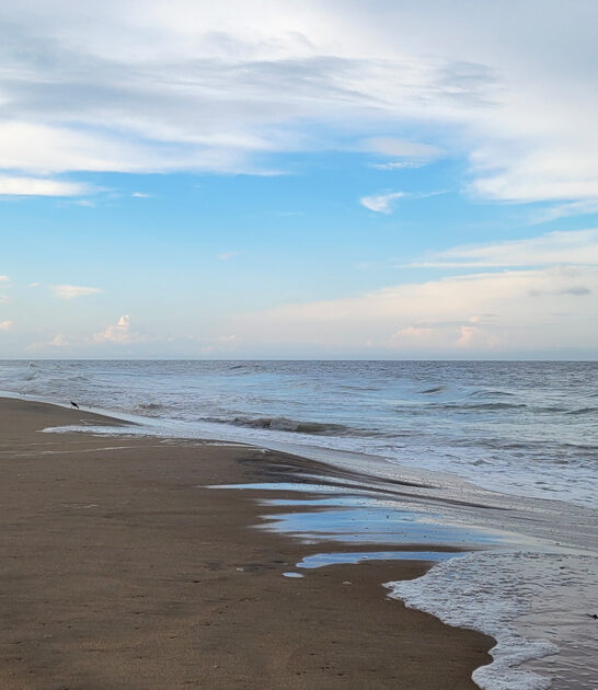 virginia scenic beach trip ftr