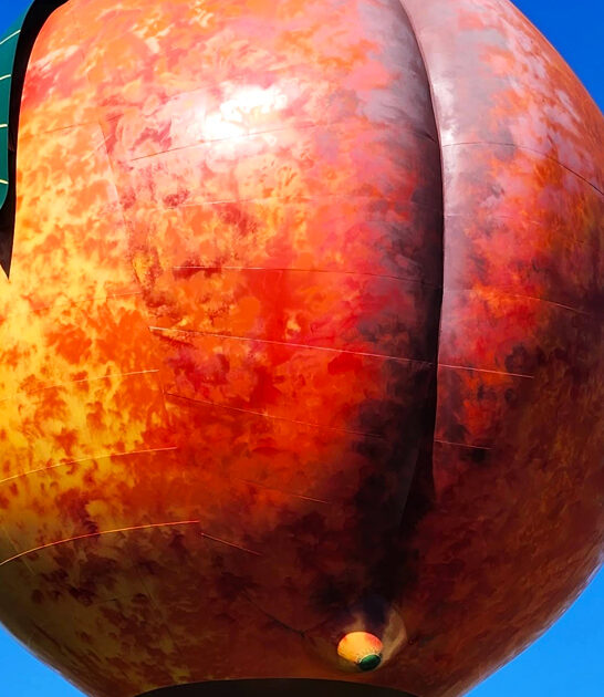 wacky roadside south carolina ftr