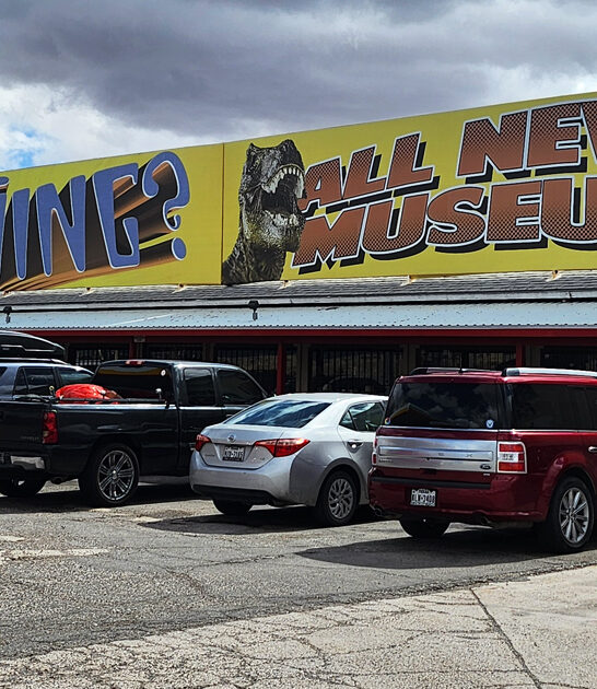 weird roadside arizona heard ftr