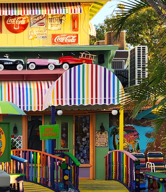 whimsical restaurant succulent florida ftr