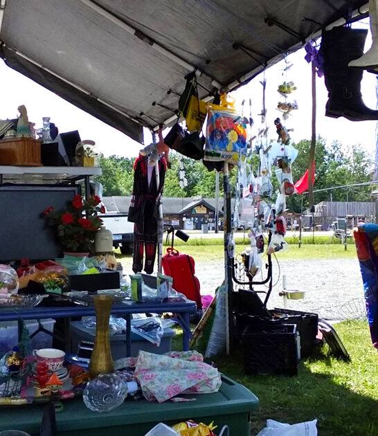 wisconsin markets flea budget ftr