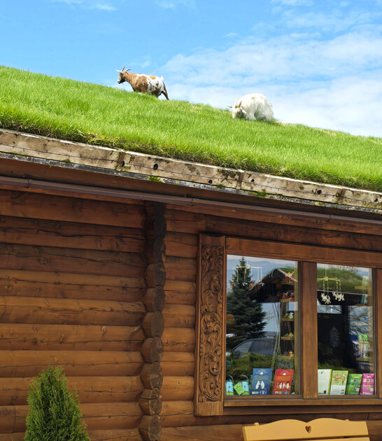 wisconsin quirky swedish restaurant ftr