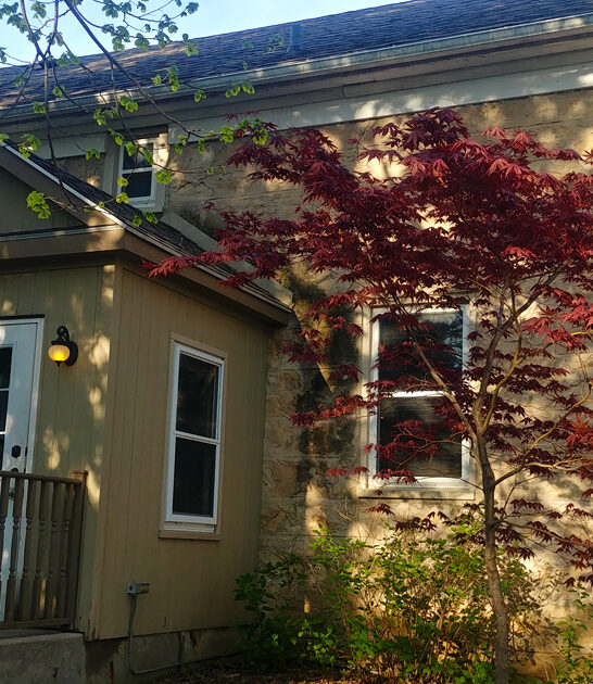 wisconsin restaurant walleye dish ftr