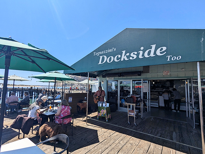 The seafood paradise you've been dreaming about sits right on Morro Bay's docks, where fresh catches and ocean breezes come standard with every meal.