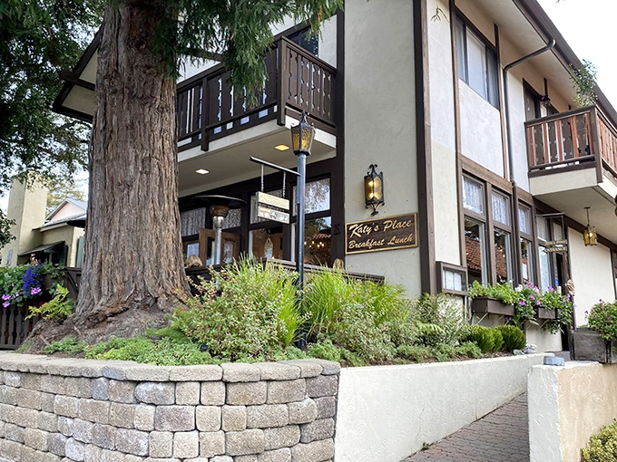 The building wears its Tudor heritage like a comfortable sweater, complete with balconies perfect for people-watching over morning coffee.