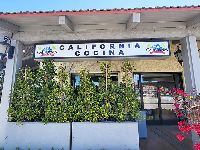 The unassuming storefront of California Cocina hides culinary treasures within, like finding a diamond in a strip mall setting.