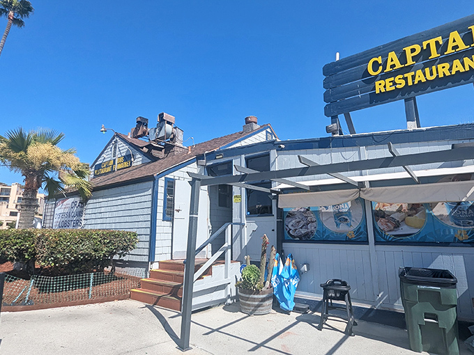 California sunshine meets East Coast fish shack vibes at Captain Kidd's side entrance, where palm trees stand guard over seafood that was swimming yesterday.
