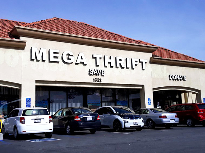 The unassuming beige exterior of Mega Thrift belies the wonderland within &ndash; like finding a portal to treasure hunting heaven in a strip mall.