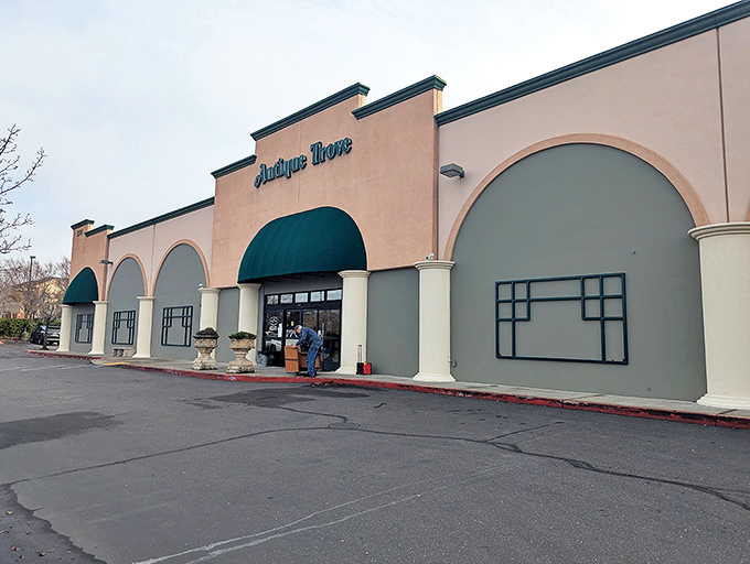 The stately exterior of Antique Trove beckons with its green awnings and cream fa&ccedil;ade&mdash;like a time portal disguised as a suburban storefront.