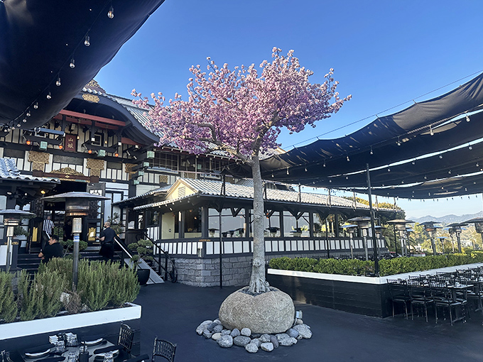 Yamashiro's cherry blossom-adorned entrance feels like you've stumbled upon a secret Japanese palace hiding in plain Hollywood sight.
