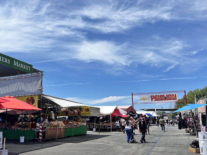 Under brilliant blue California skies, the San Jose Flea Market stretches toward the horizon like a bargain hunter's yellow brick road, promising treasures at every colorful stall.