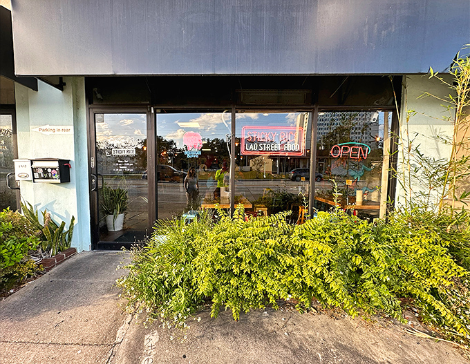 A glimpse of Sticky Rice's unassuming storefront, where culinary magic hides behind modest glass doors and lush greenery.