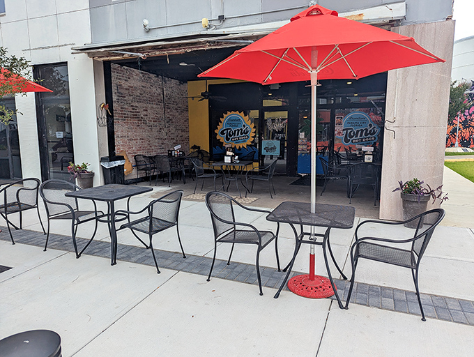 The bright blue sign of Tom&rsquo;s Hot Dogs shines like a beacon for the hungry &mdash; Panama City&rsquo;s most delicious open secret since 1981.