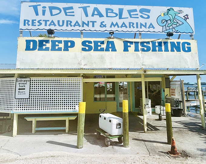 The unassuming blue and white sign says it all: real Florida seafood doesn't need fancy advertising when the fishing boats are literally docked outside. 