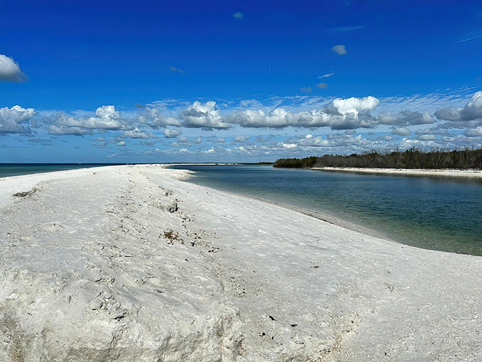 Where land meets lagoon meets Gulf. Tigertail's pristine sandbar creates a natural paradise that feels worlds away from Florida's tourist crowds.