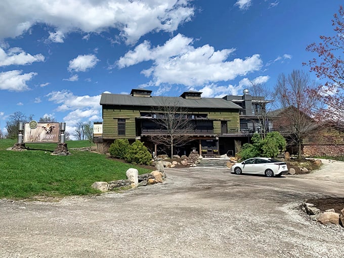 Rustic charm meets dairy paradise at Traders Point Creamery. This isn't just a farm—it's where milk dreams come true under Indiana's big blue skies.