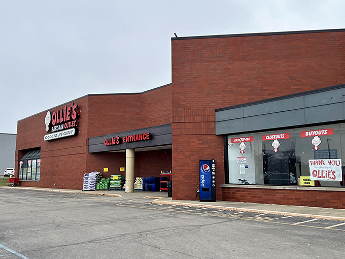 From the parking lot, Ollie's unassuming facade gives little hint of the treasure trove waiting inside &ndash; like finding a speakeasy, but for discount shopping enthusiasts.