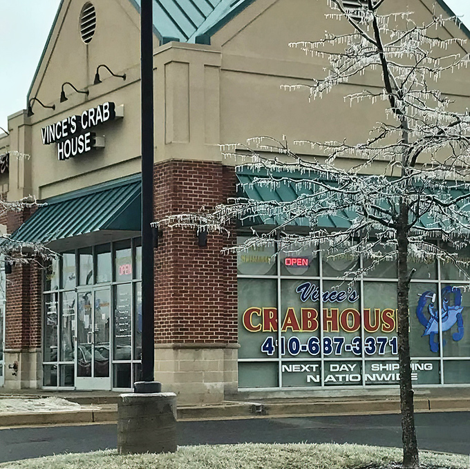 Even in winter's icy grip, Vince's Crab House stands ready to warm your soul with seafood treasures. The icicles are just nature's way of preserving freshness.