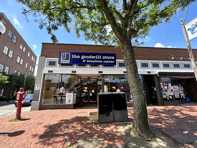 The iconic blue sign of Somerville's Goodwill Store beckons treasure hunters beneath a canopy of bare branches, promising adventures in secondhand shopping.