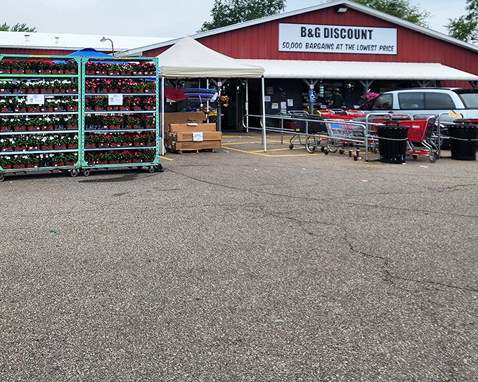 That "50,000 bargains" promise isn't just marketing fluff &ndash; the parking lot tells the whole story of satisfied treasure hunters.