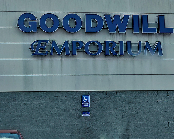The iconic blue sign that beckons bargain hunters to Lansing's treasure trove of secondhand wonders and $45 cart-filling possibilities.