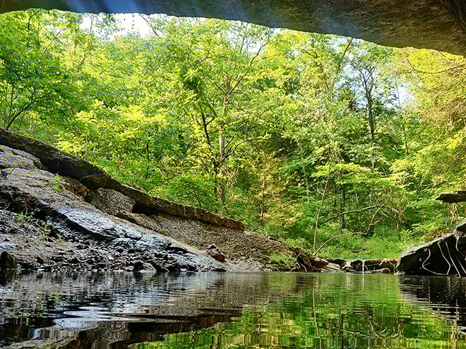 Nature's cathedral reveals itself from beneath this rocky overhang, where sunlight filters through a canopy of green, creating a stained-glass effect on crystal waters below.