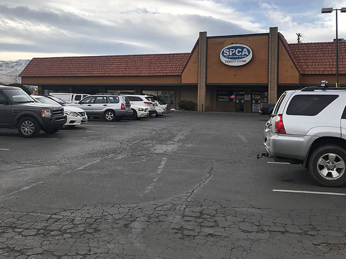 A bustling parking lot hints at the treasures within &ndash; thrift store enthusiasts know to arrive early for the best finds.