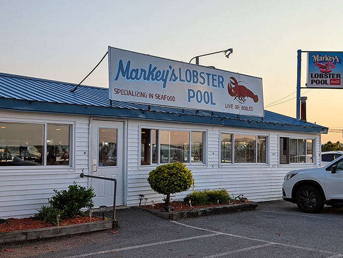 The white clapboard exterior with its iconic red lobster sign stands as a coastal beacon, promising seafood treasures that have drawn devoted fans for decades.
