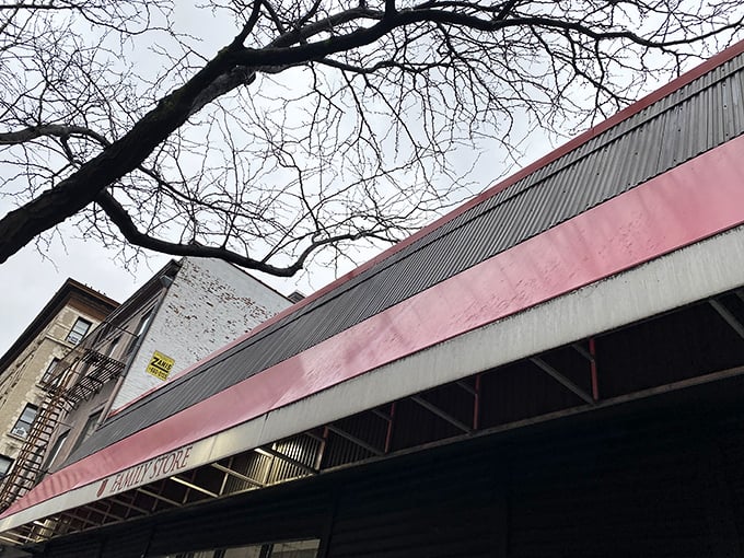Winter branches frame the distinctive pink band of the Family Store. In New York's retail jungle, this no-frills exterior promises honest treasures within.