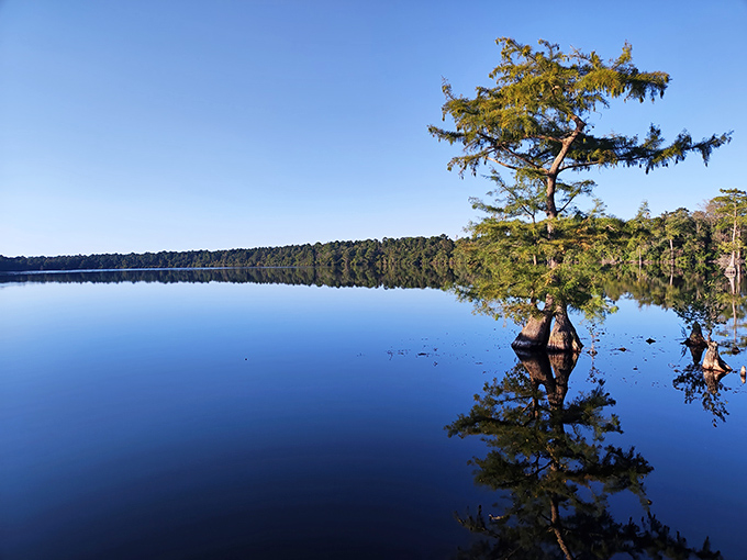 Mirror, mirror on the lake &ndash; Jones Lake's glass-like surface creates perfect reflections that would make even the most practiced yogi jealous of its stillness.
