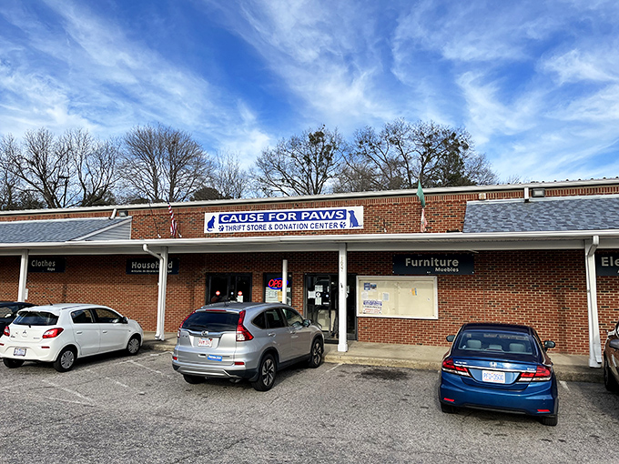 The unassuming brick storefront of Cause for Paws might not scream "retail wonderland," but behind those modest doors lies a treasure hunter's paradise waiting to be explored.