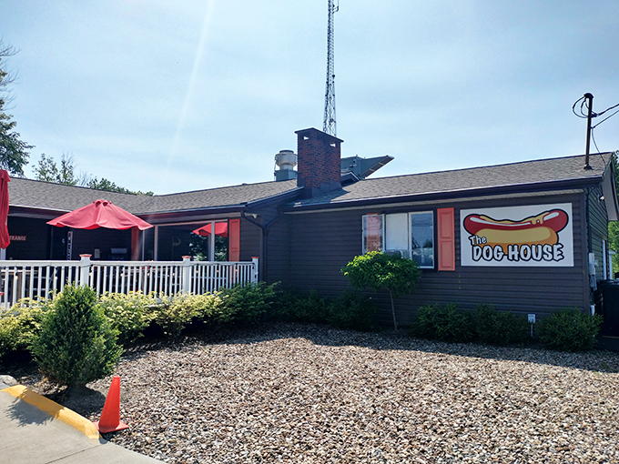 The unassuming exterior of The Dog House beckons like an old friend, promising comfort food nirvana behind its modest gray siding and welcoming porch.