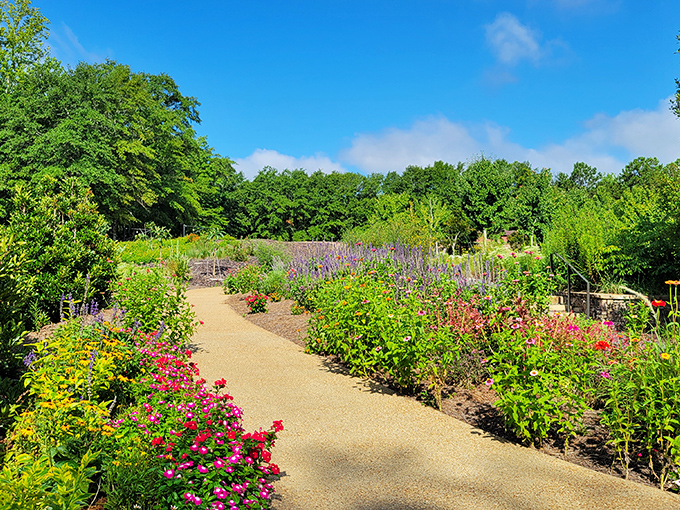 A sunlit paradise where nature shows off. This winding path through vibrant blooms feels like walking through an impressionist painting come to life.