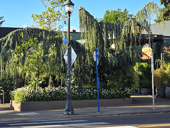 Partially hidden behind cascading greenery, Radio Room&rsquo;s fiery neon sign hints at the lively, laid-back vibes waiting inside.