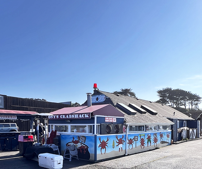 The blue shack with colorful crab murals isn't trying to be fancy&mdash;and that's exactly why it's perfect. Oregon coastal dining at its most authentic.