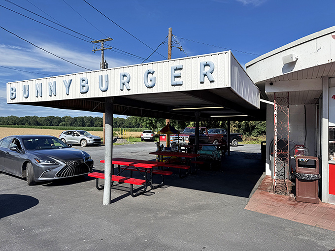 "BUNNYBURGER" proudly announces itself to hungry travelers – not just a sign, but a beacon of hope for those seeking roadside perfection.