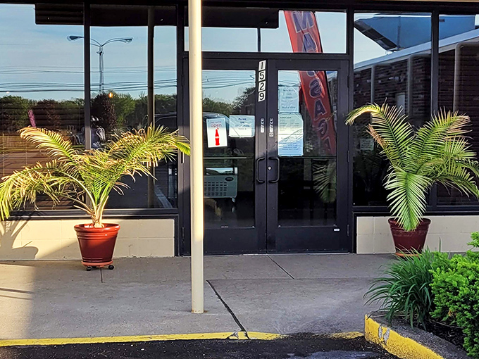The unassuming entrance to Mama Mia's Pizza, where those potted palms stand guard over Erie's best-kept culinary secret.