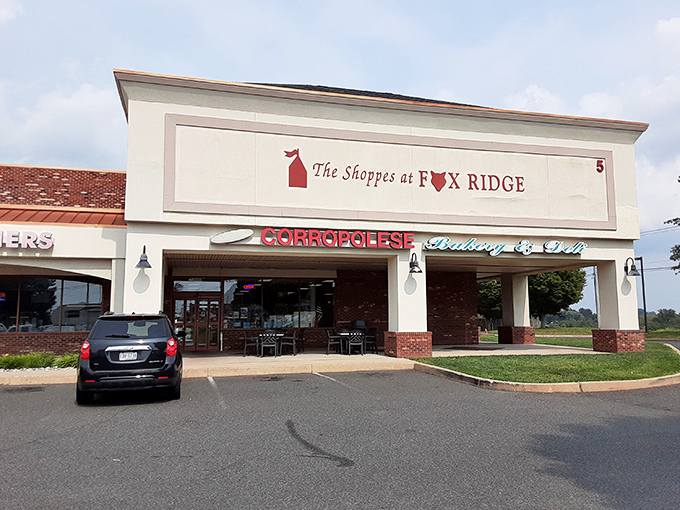 Nestled in The Shoppes at Fox Ridge, this Italian bakery outpost proves strip malls sometimes hide the greatest culinary treasures.