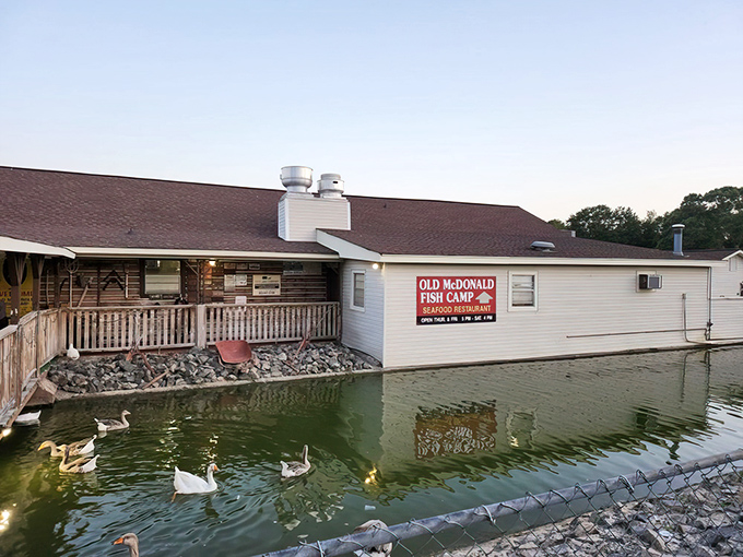 Where Southern hospitality meets waterside dining. The swans gliding by your table are nature's dinner entertainment.