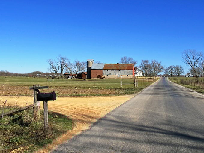 Rural perfection captured in a single frame: a weathered barn, open fields, and a mailbox that probably doesn't receive Amazon packages daily.