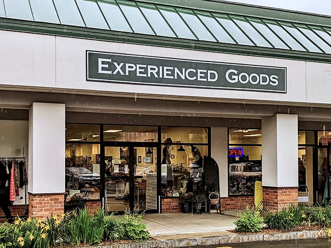 Welcome to treasure-hunting headquarters, where your wallet stays fat and your car leaves full.